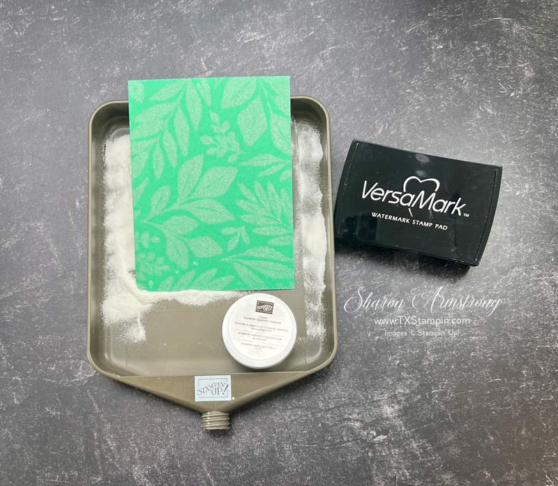 VersaMark Transforms Your Cards! 5 Must-Know Techniques